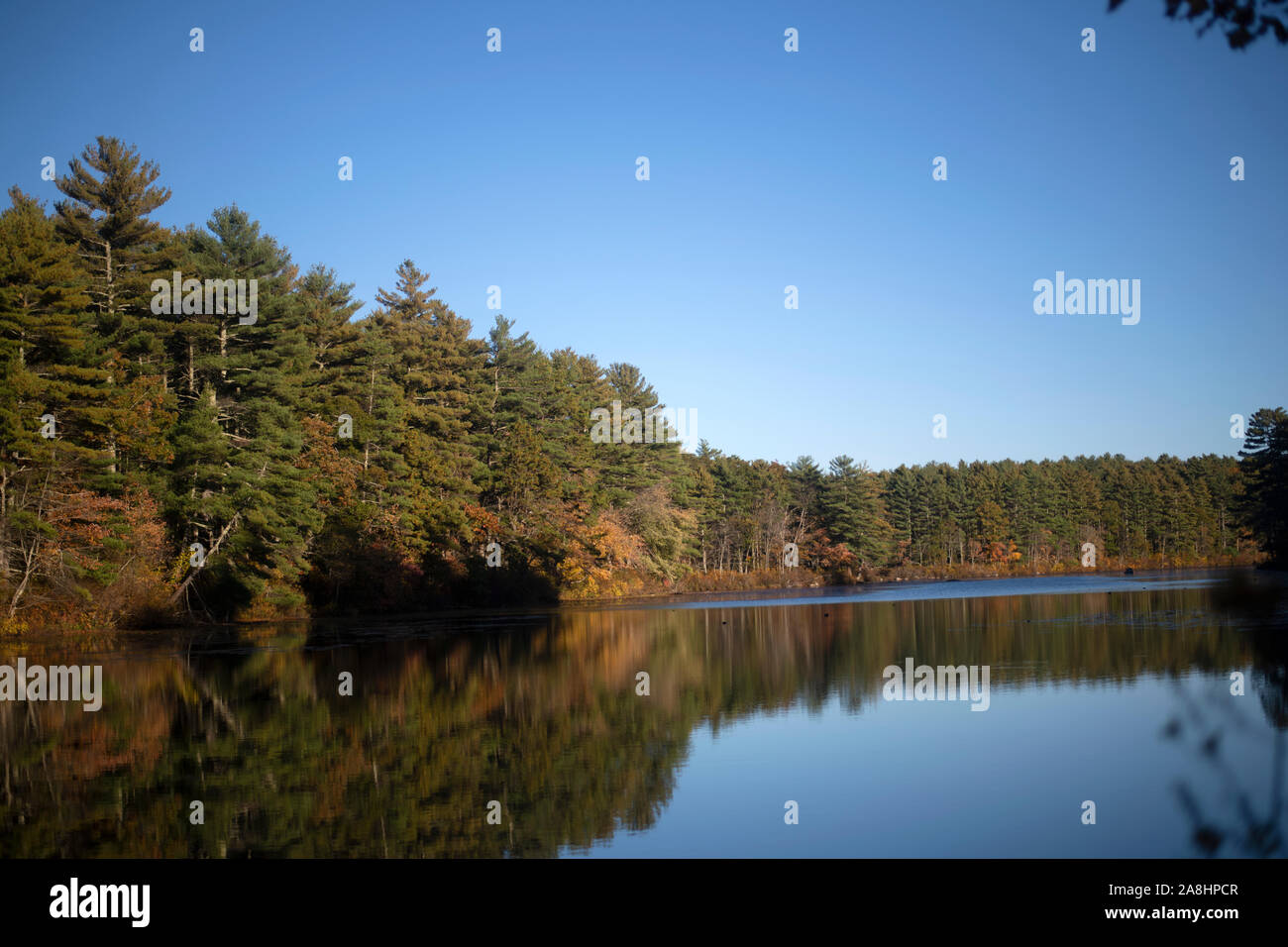 New England Pond High Resolution Stock Photography and Images - Alamy