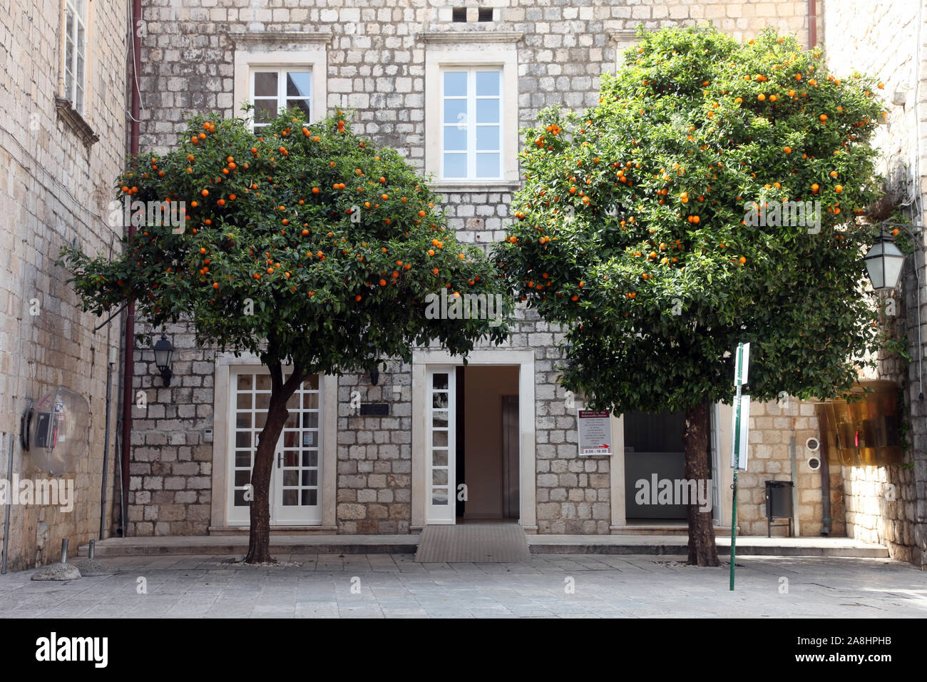 Orange tree, Dubrovnik Croatia Stock Photo - Alamy
