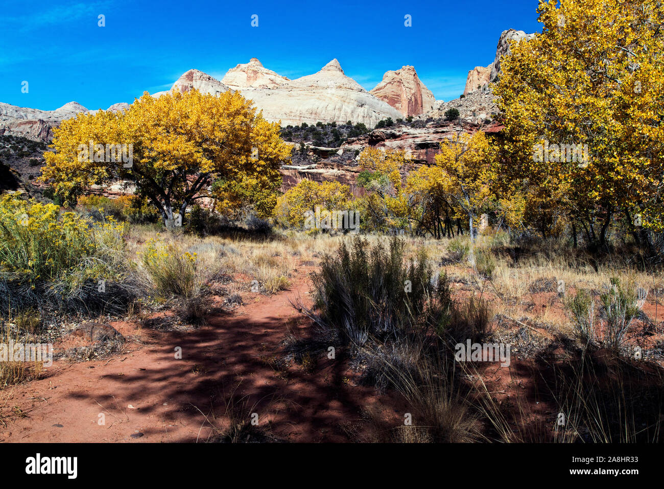 Torrey canyon hi-res stock photography and images - Alamy