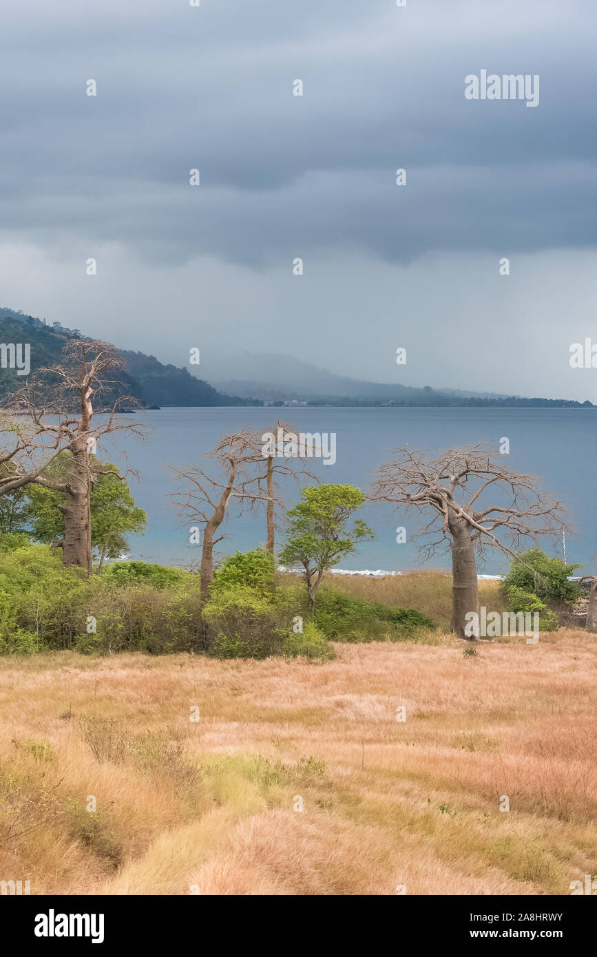 Sao tome and principe lagoa azul hi-res stock photography and images ...