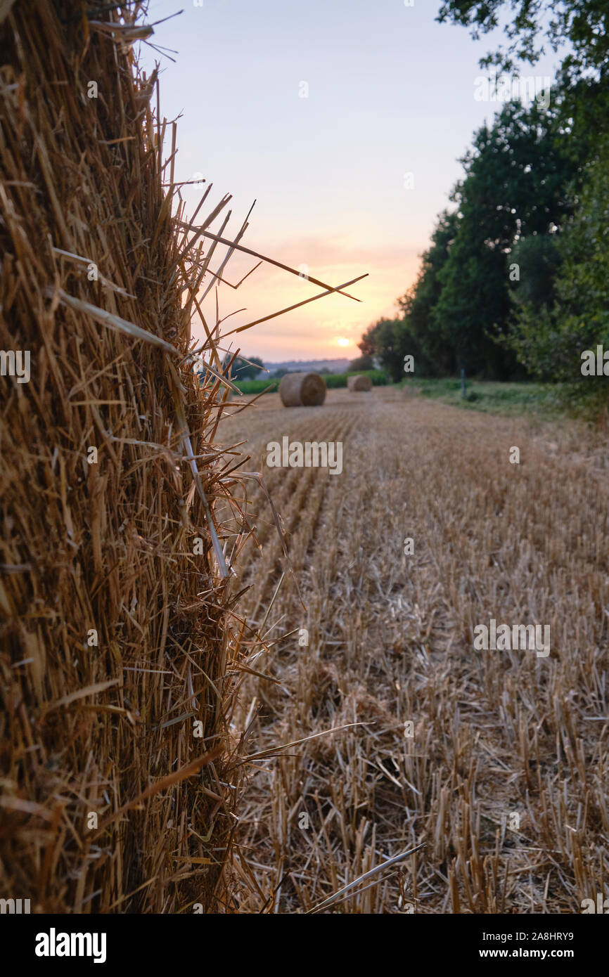 Round hay bale hi-res stock photography and images - Alamy