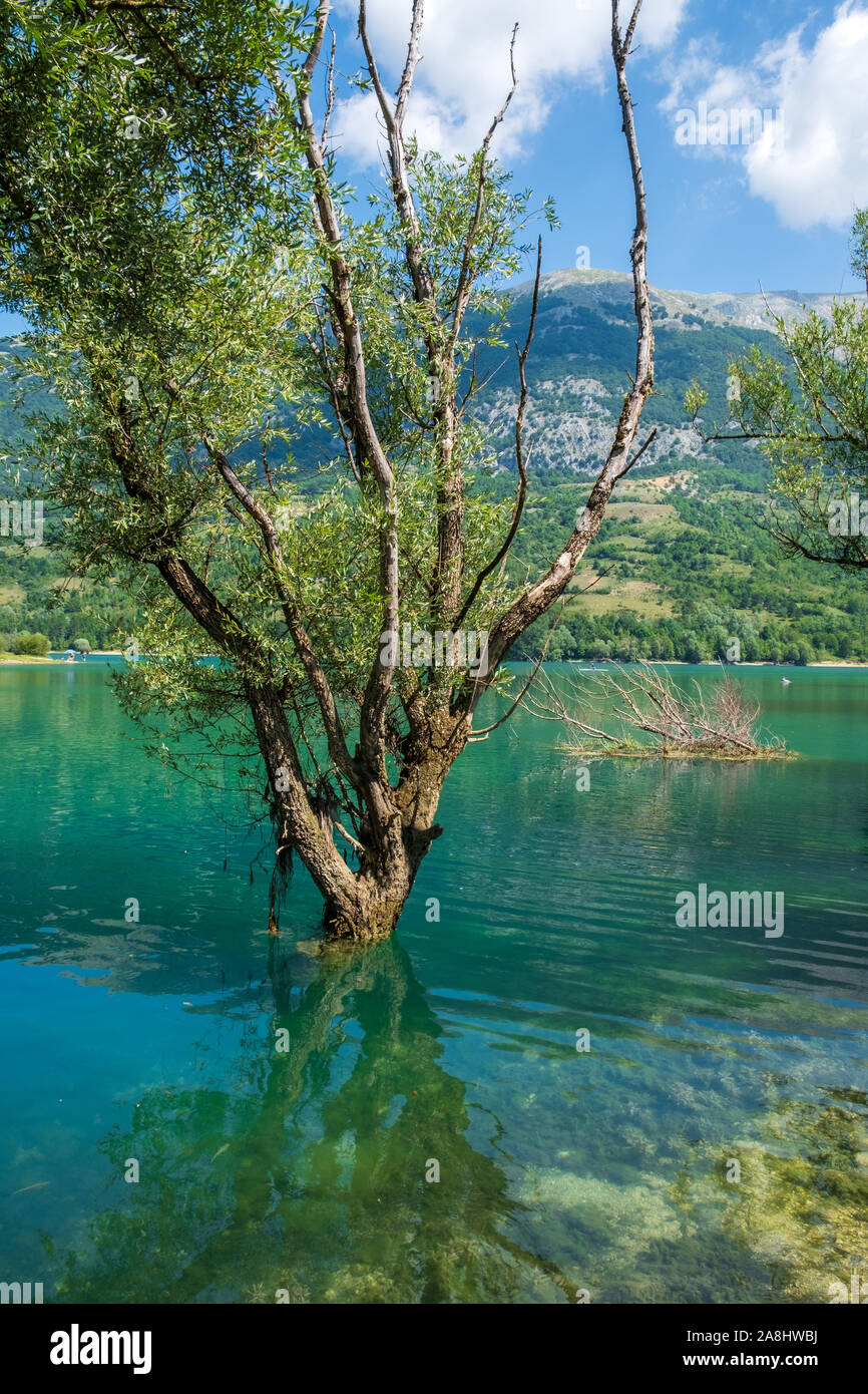Barrea lake, trees in the water, National Park of Abruzzo, Italy Stock ...