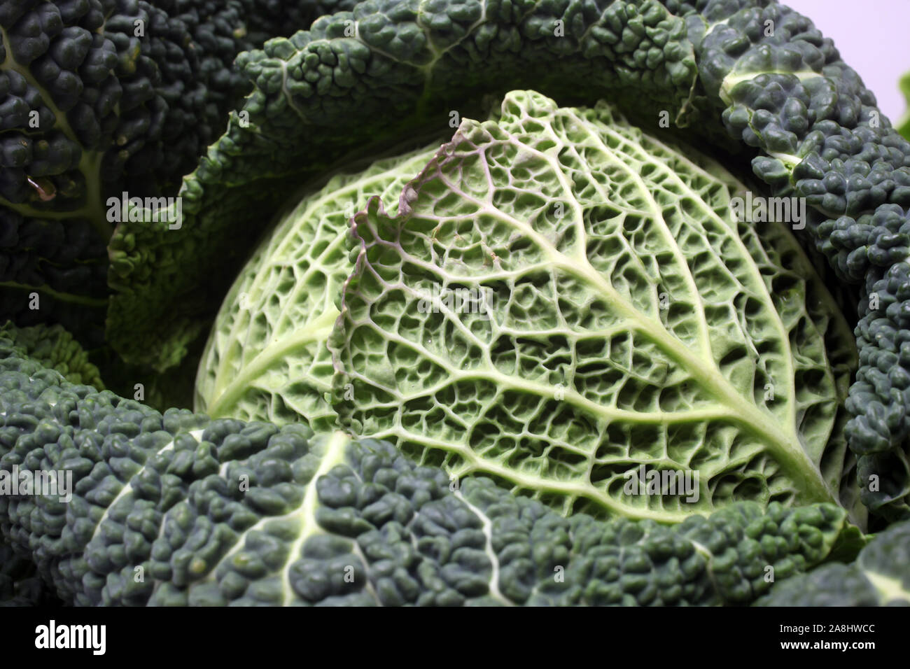 Head cabbage and kale hi-res stock photography and images - Alamy