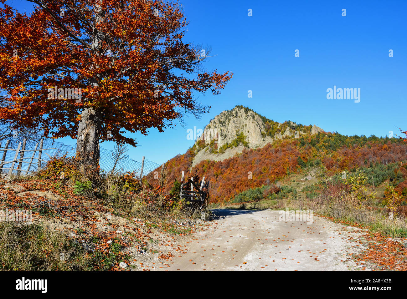 Rodopa mountain hi-res stock photography and images - Alamy