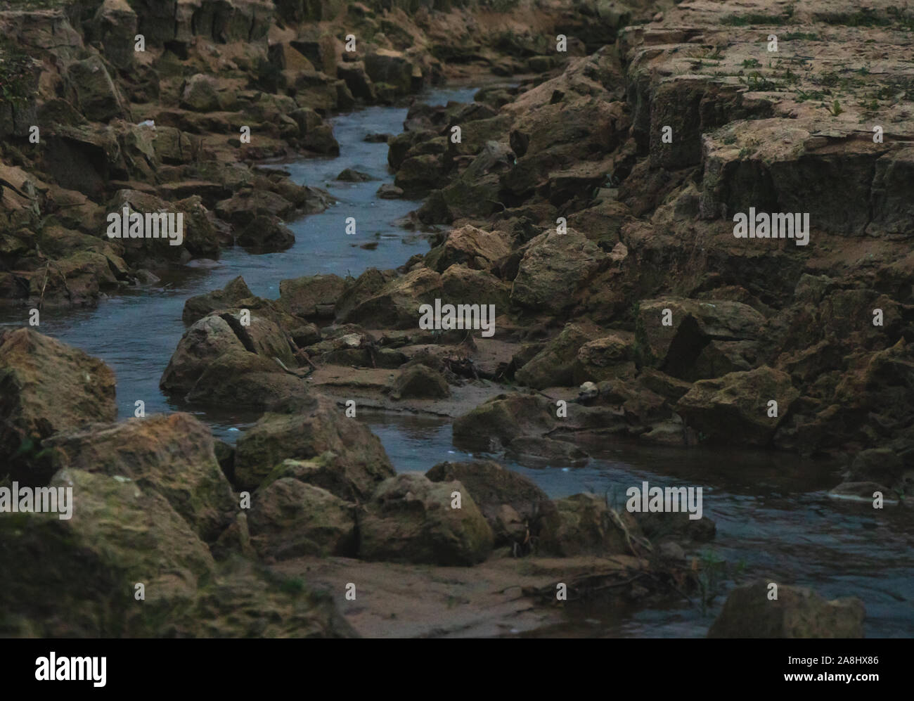 Dried out ground with big cracks in it. Desert. Drought Stock Photo - Alamy