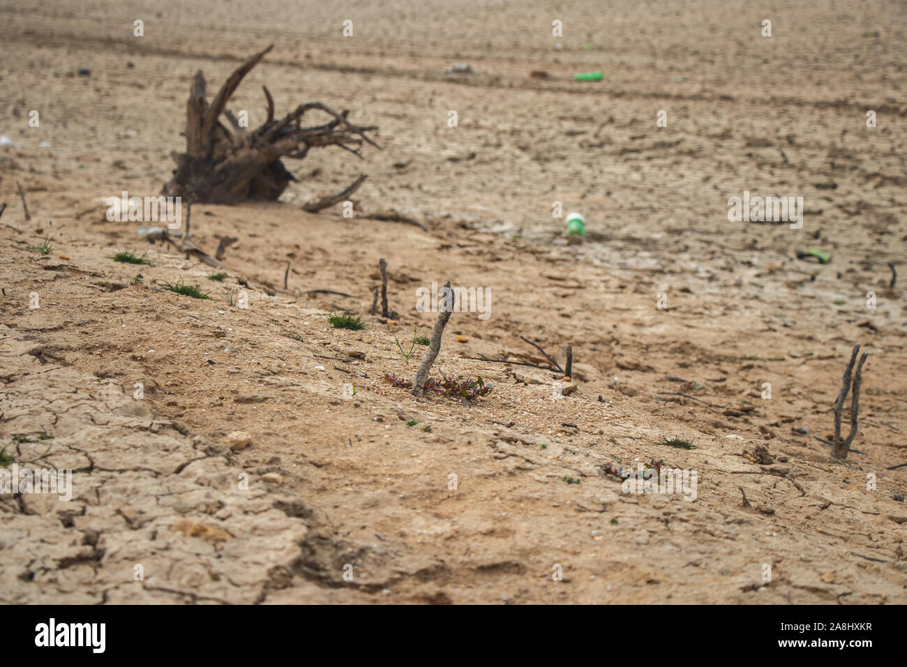 Dried out ground with big cracks in it. Desert. Drought Stock Photo - Alamy