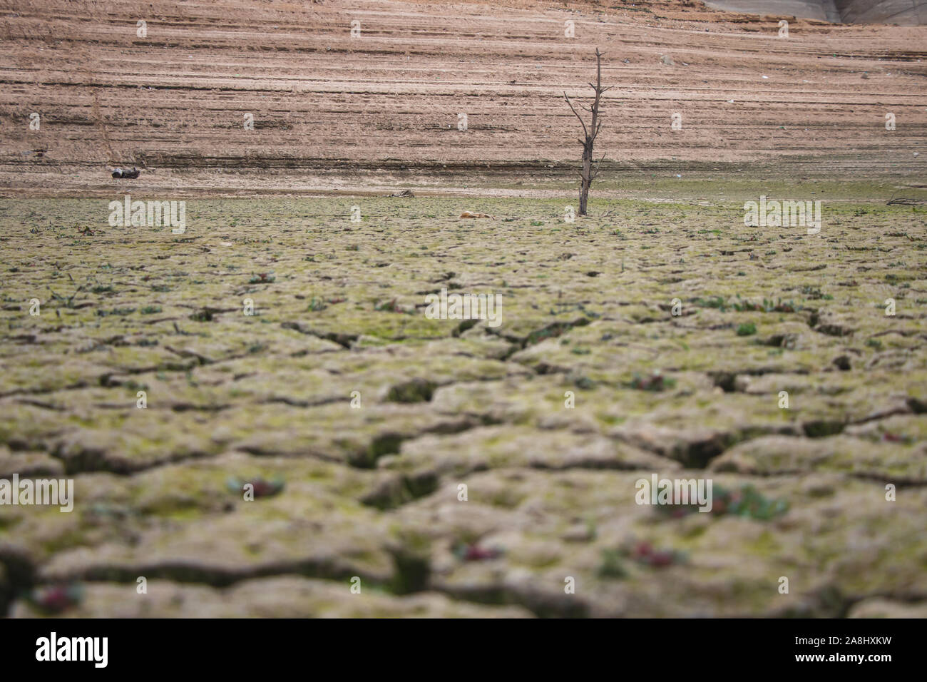 Dried out ground with big cracks in it. Desert. Drought Stock Photo - Alamy