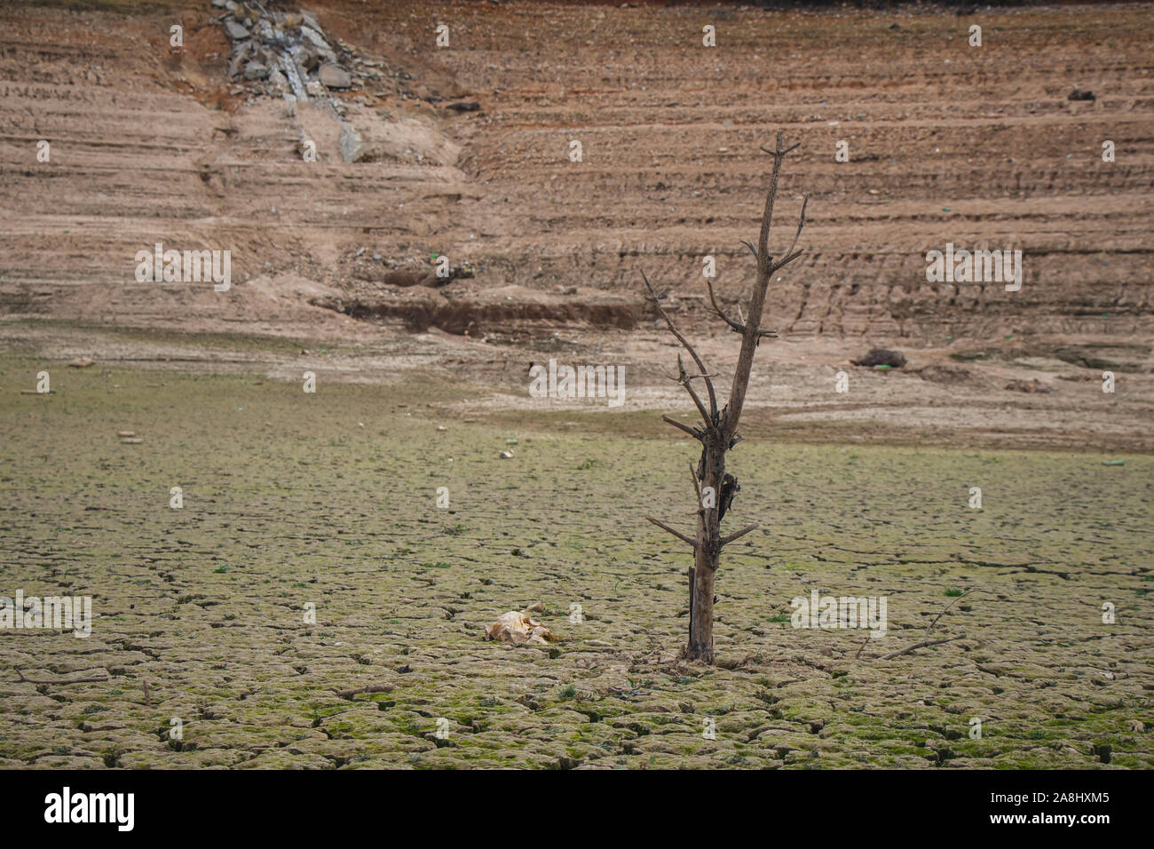 Dried out ground with big cracks in it. Desert. Drought Stock Photo - Alamy