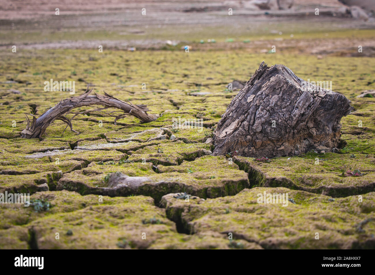 Dried out ground with big cracks in it. Desert. Drought Stock Photo - Alamy