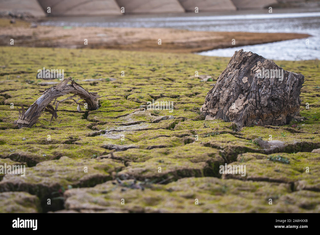 Dried out ground with big cracks in it. Desert. Drought Stock Photo - Alamy