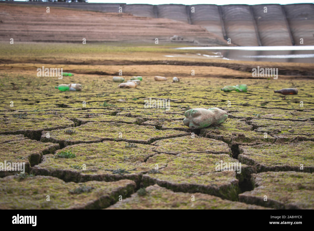 Plastic bottles thrown on the ground polluting the environment. Waste ...