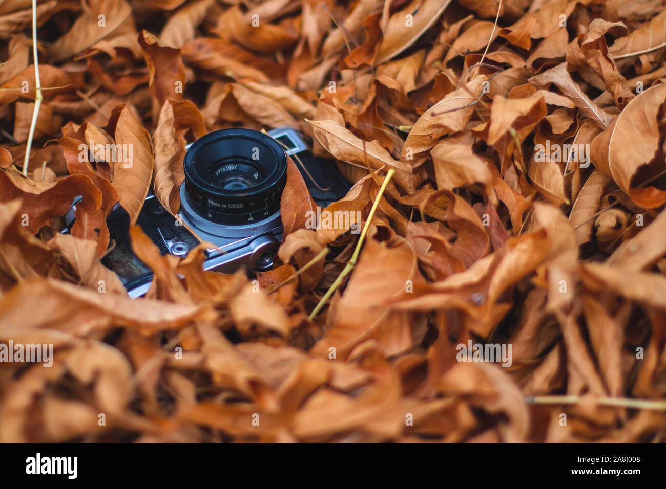 Vintage camera photos hi-res stock photography and images - Alamy