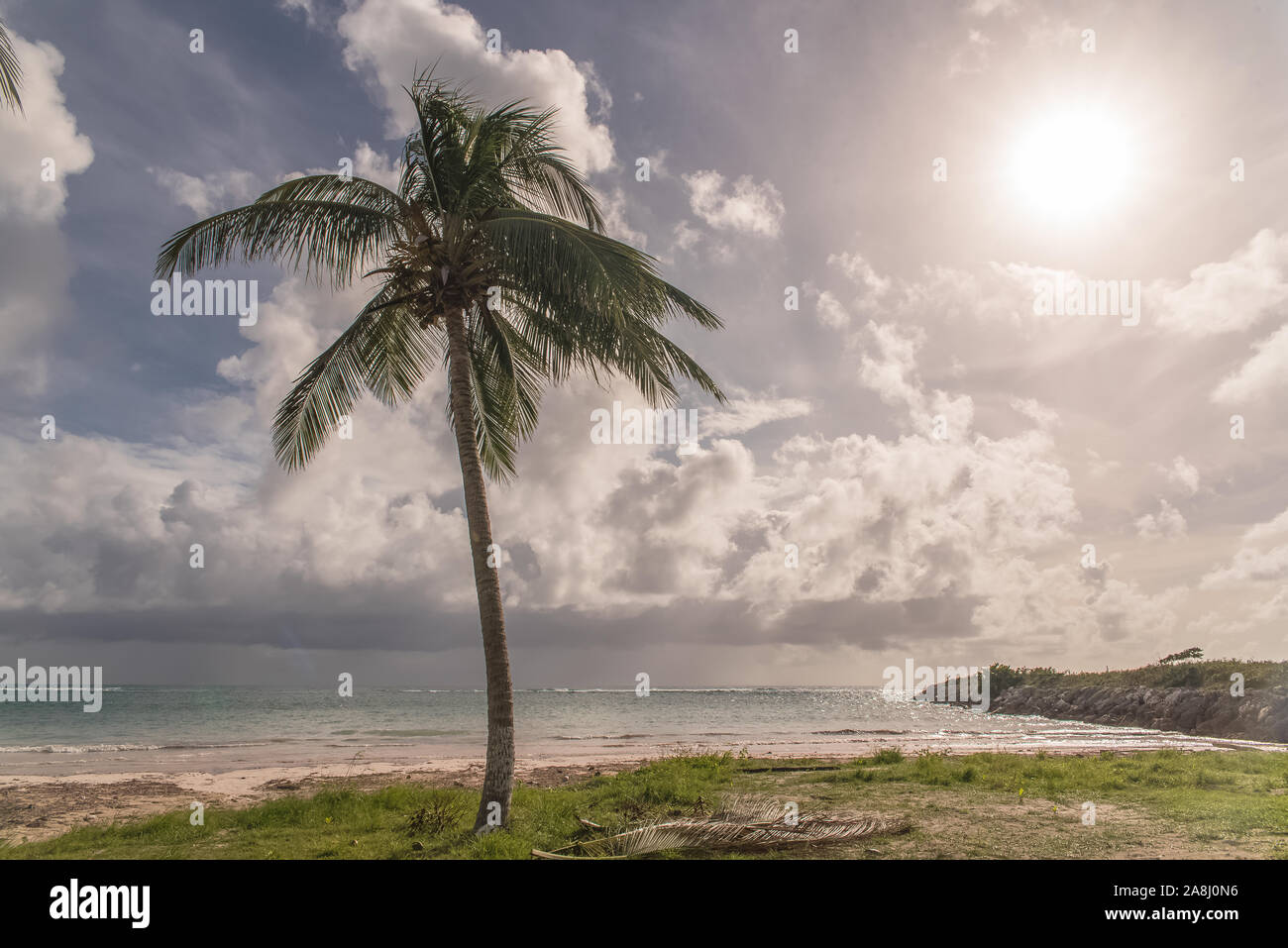Guadeloupe, beautiful beach in Marie-Galante island, panorama Stock ...