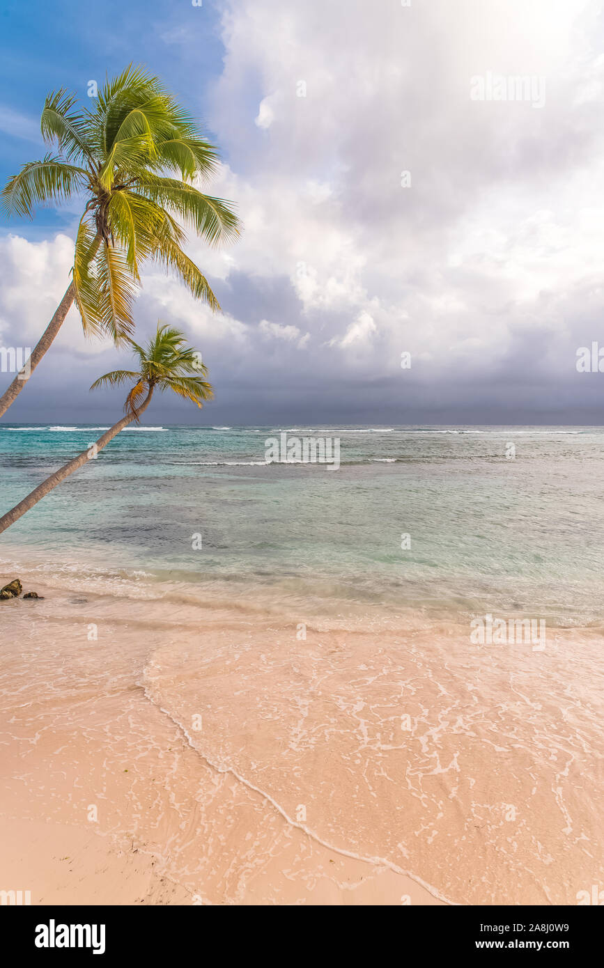 Marie galante island tropical beach hi-res stock photography and images ...