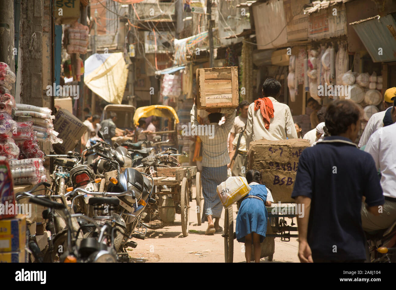 Overpopulation High Resolution Stock Photography and Images - Alamy