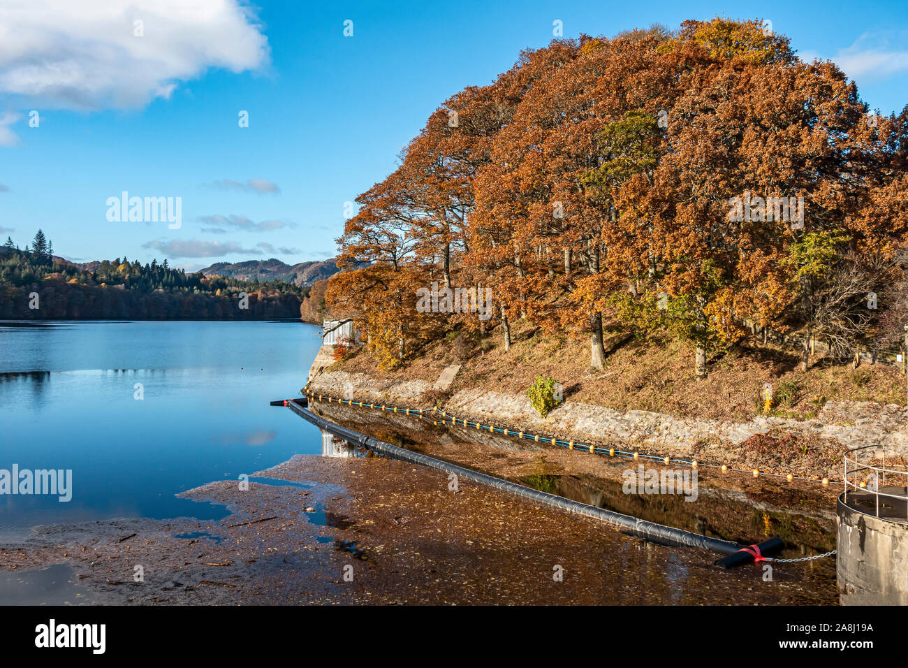 Pitlochry loch faskally autumn hi-res stock photography and images - Alamy