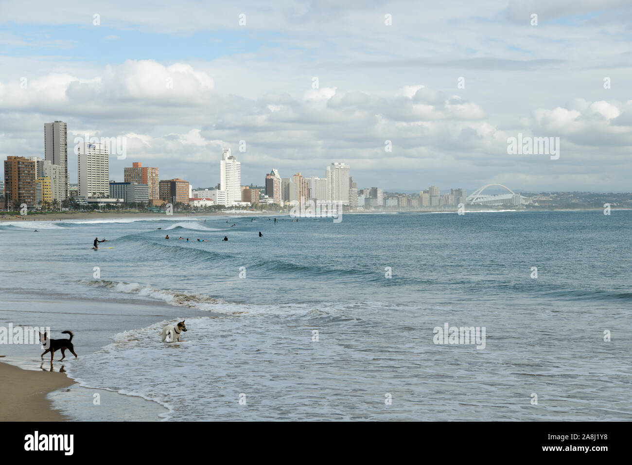 Durban, KwaZulu-Natal, South Africa, landscape, outline of buildings ...