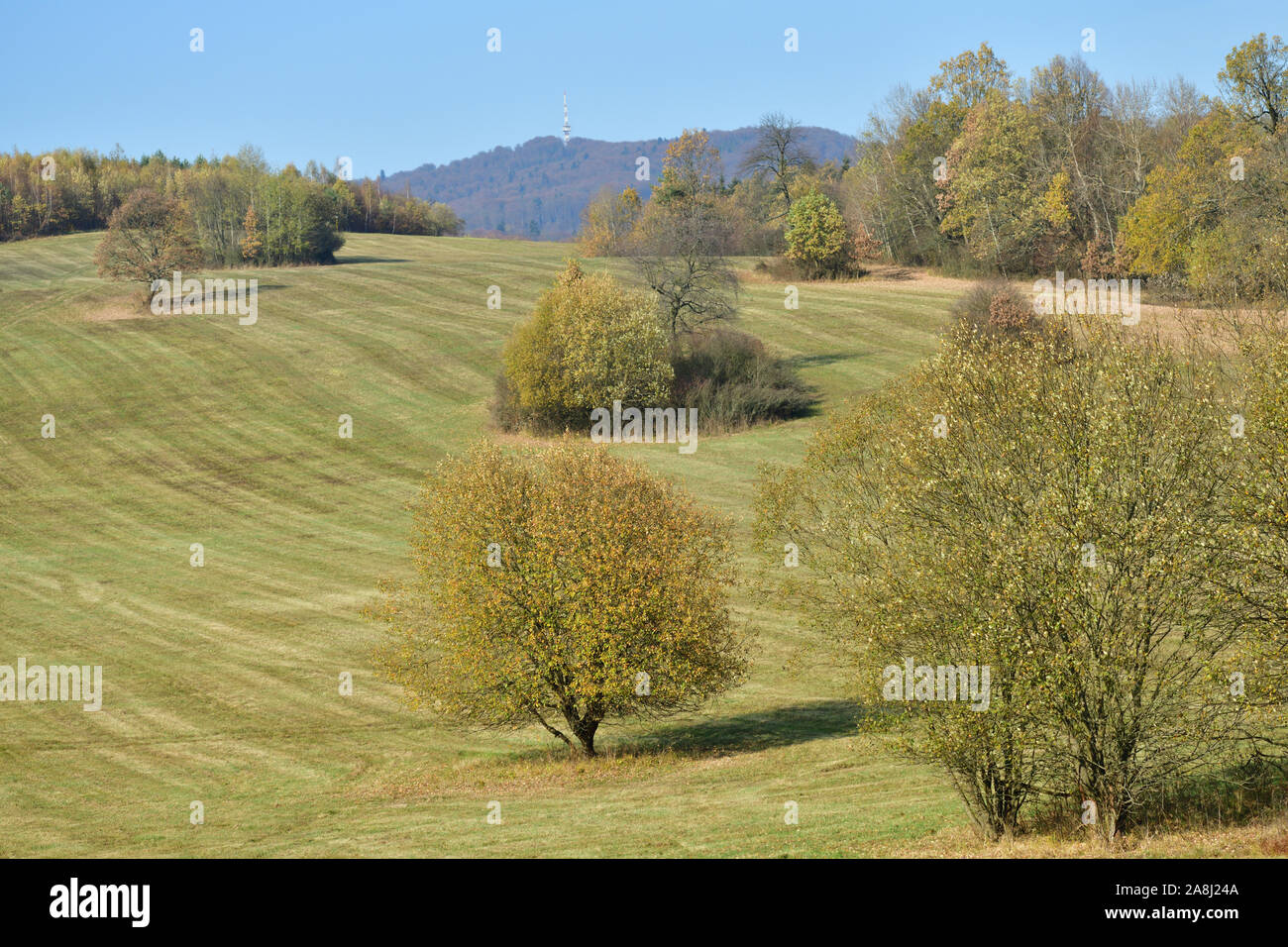 A view of a transmitter high in the mountains above a tree top Stock ...