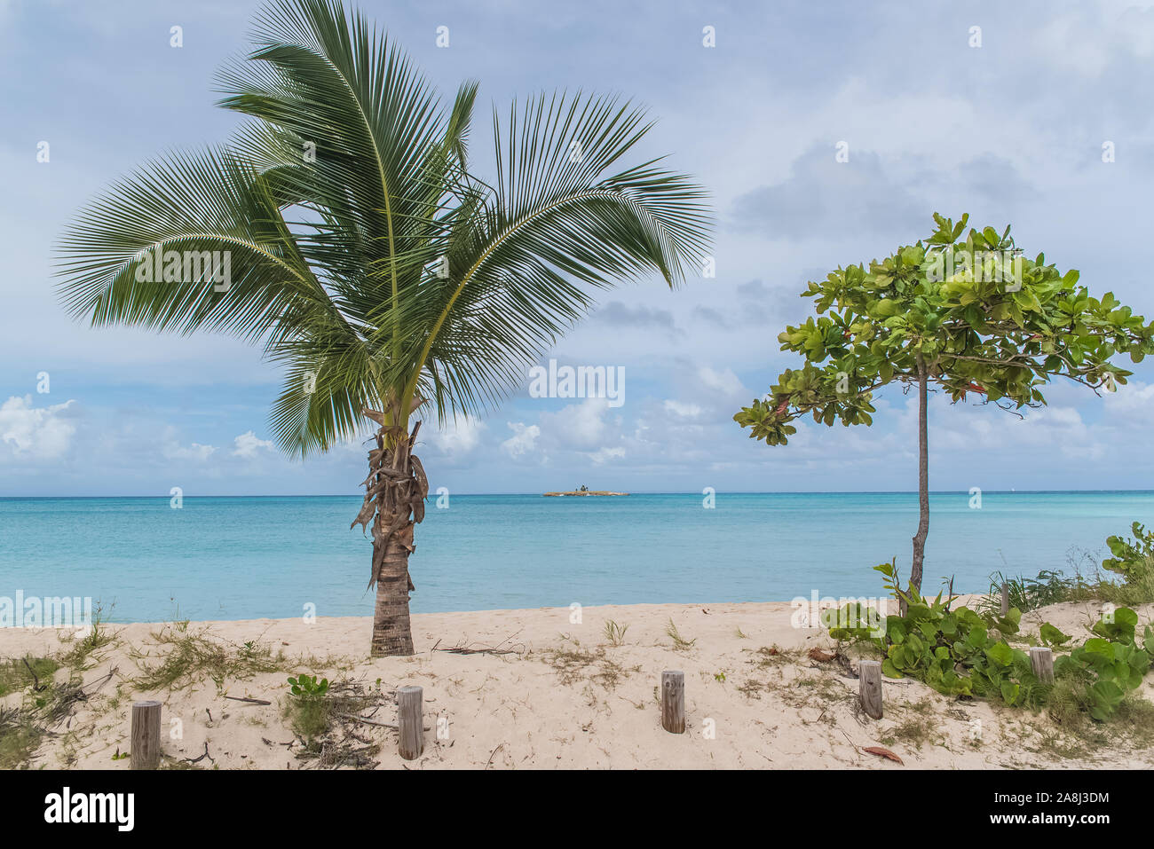Guadeloupe, beautiful beach in Marie-Galante island, panorama Stock ...