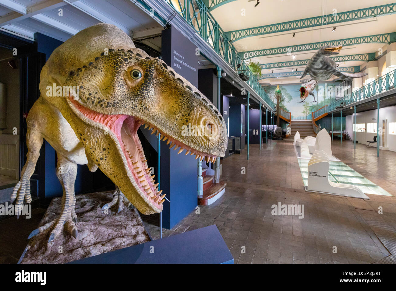 The natural history museum of lille hi-res stock photography and images ...