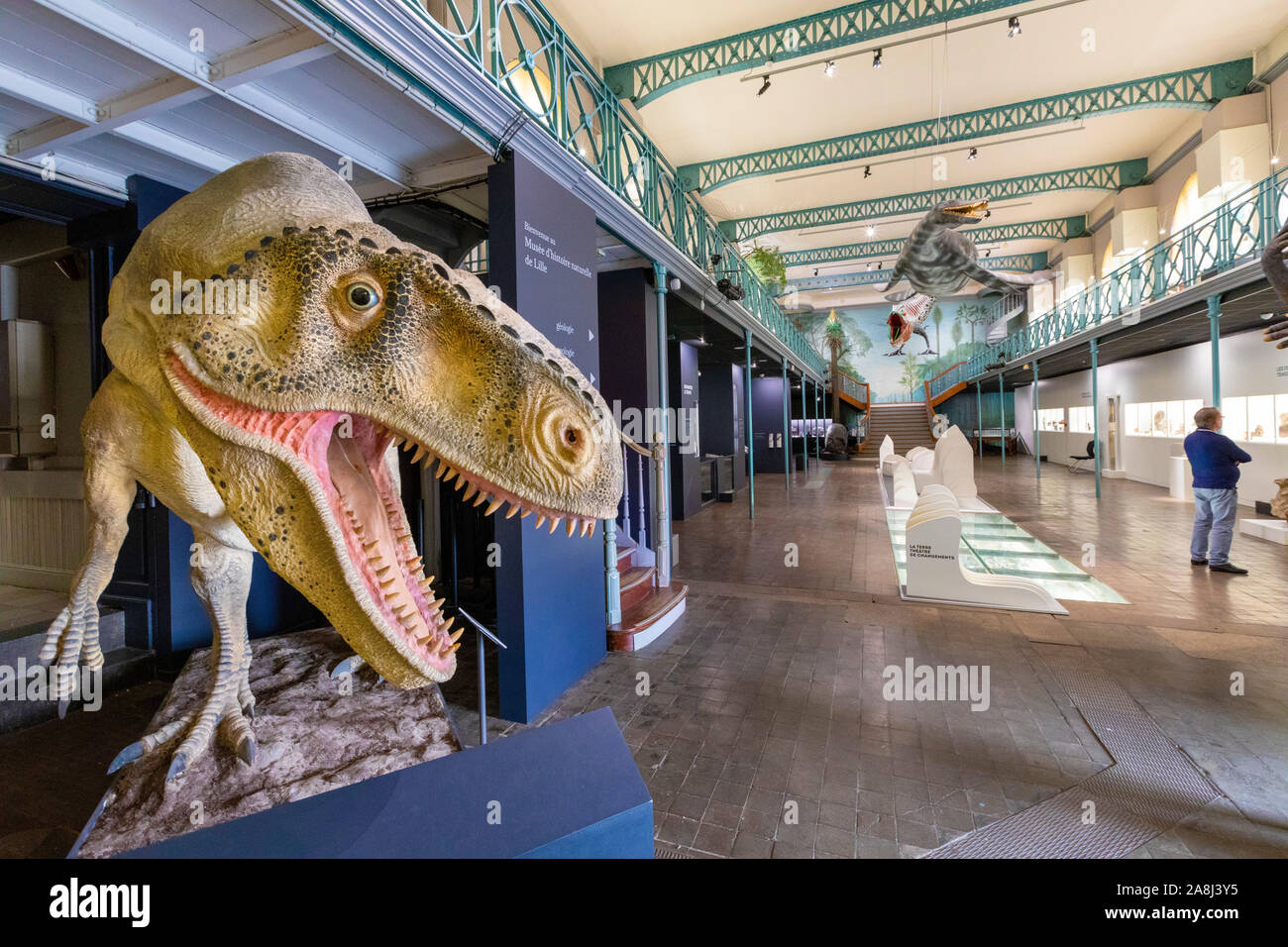 The natural history museum of lille hi-res stock photography and images ...