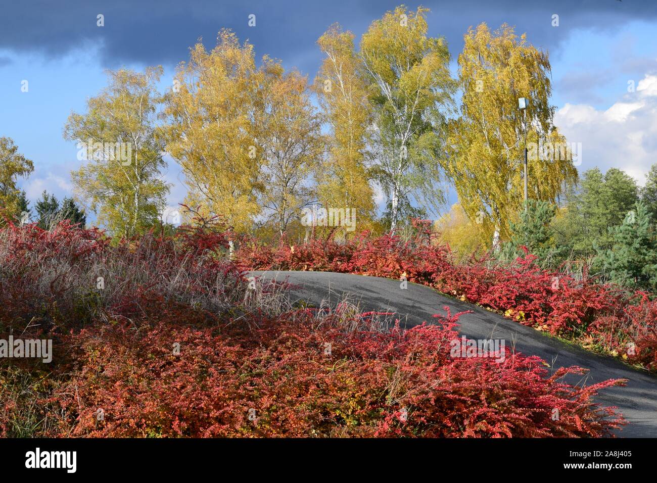 Mogul slope hi-res stock photography and images - Alamy