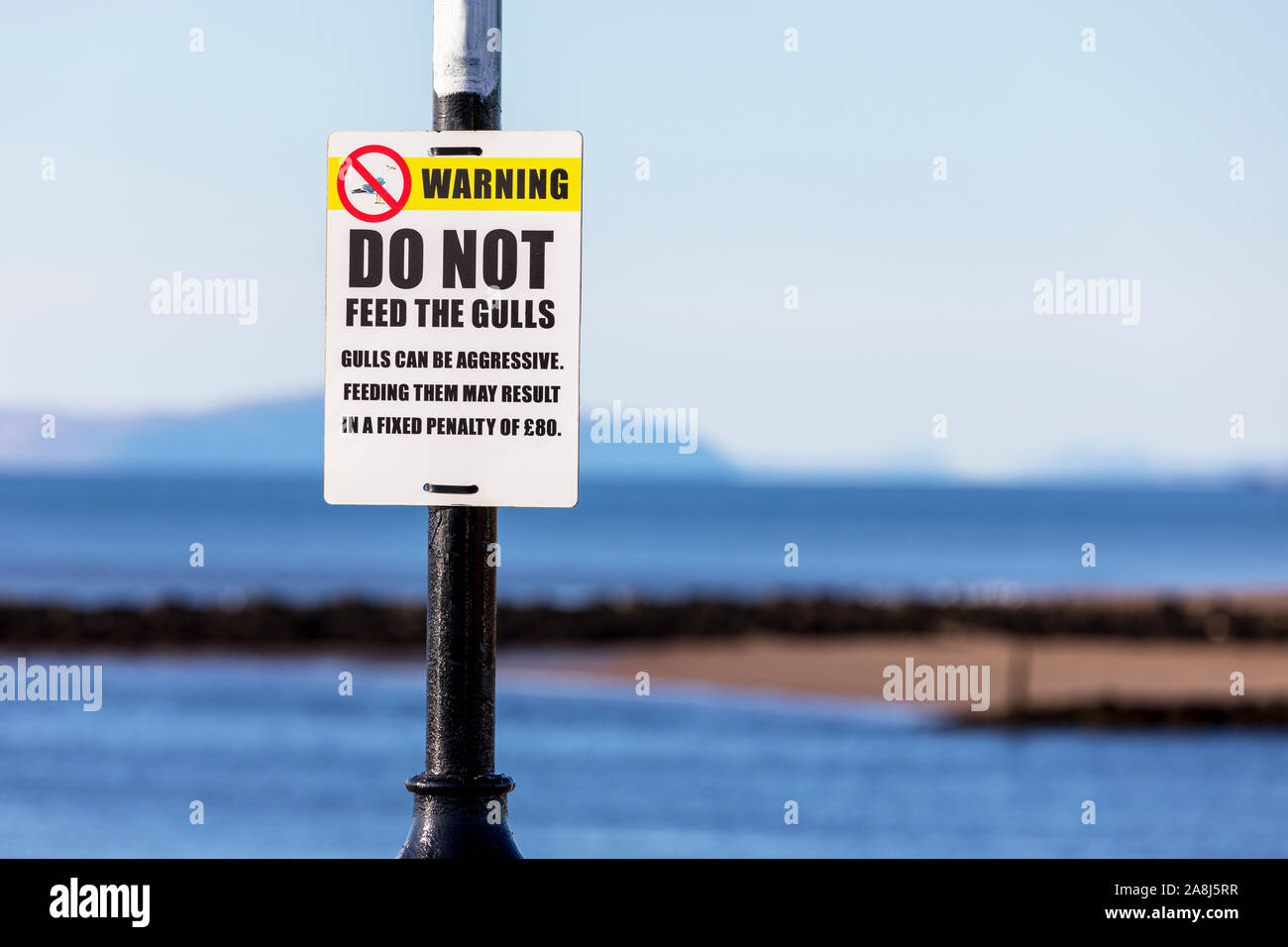 Seagull warning sign hi-res stock photography and images - Alamy