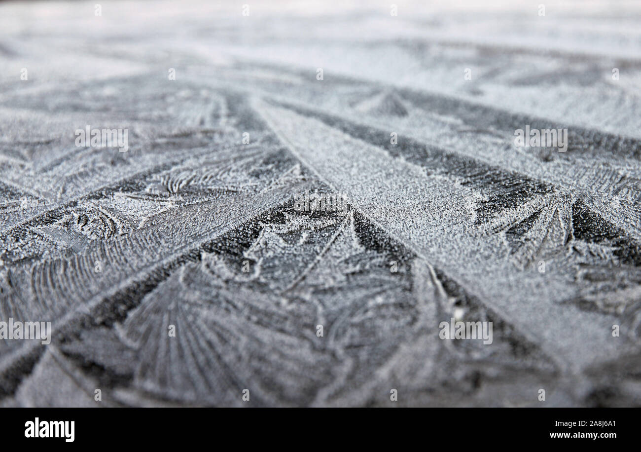 Fractal patterns nature hi-res stock photography and images - Alamy