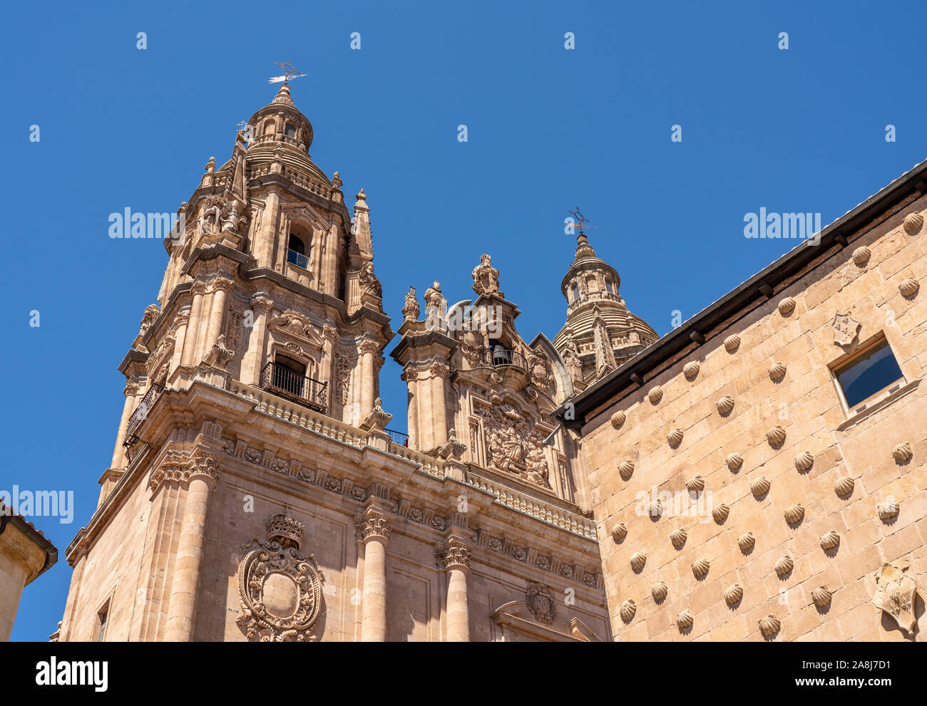Conchas hi-res stock photography and images - Alamy