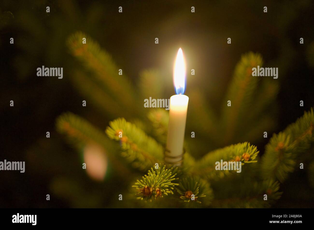 Yuletide Log Fire High Resolution Stock Photography and Images - Alamy