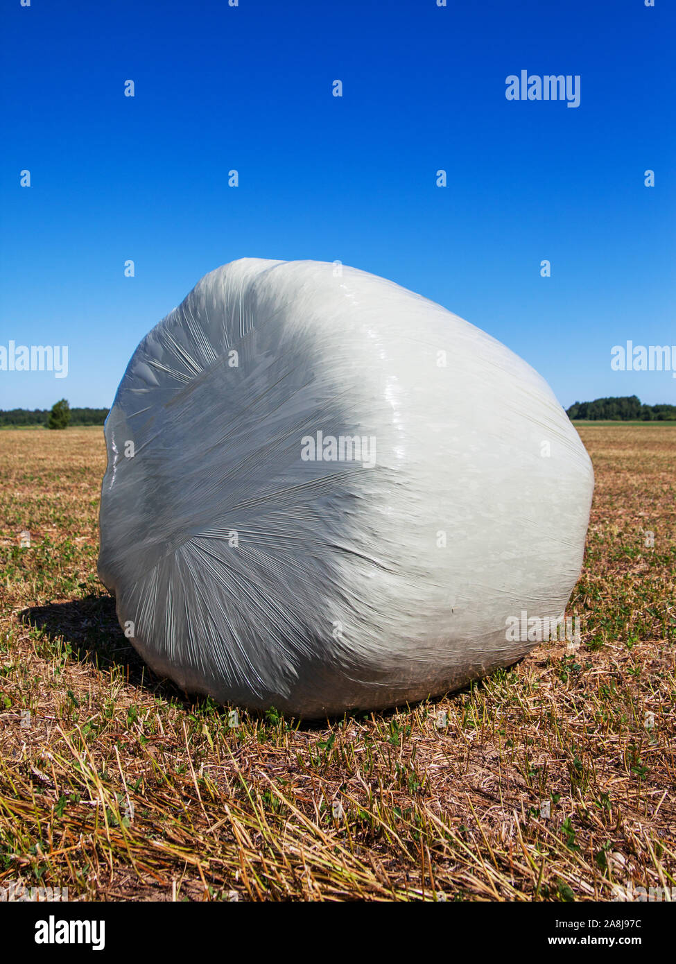 Membrane wrap hi-res stock photography and images - Alamy