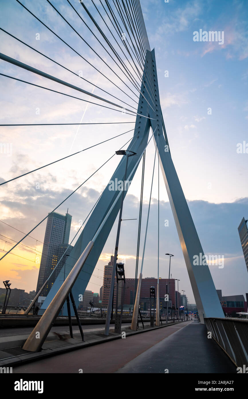 Rotterdam Skyline with Erasmusbrug bridge in the morning, Netherlands ...