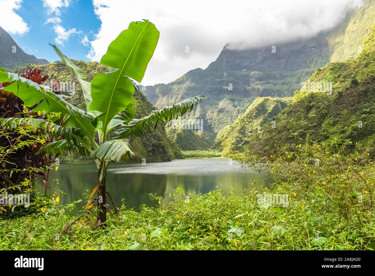Tahiti french polynesia vegetation hi-res stock photography and images ...