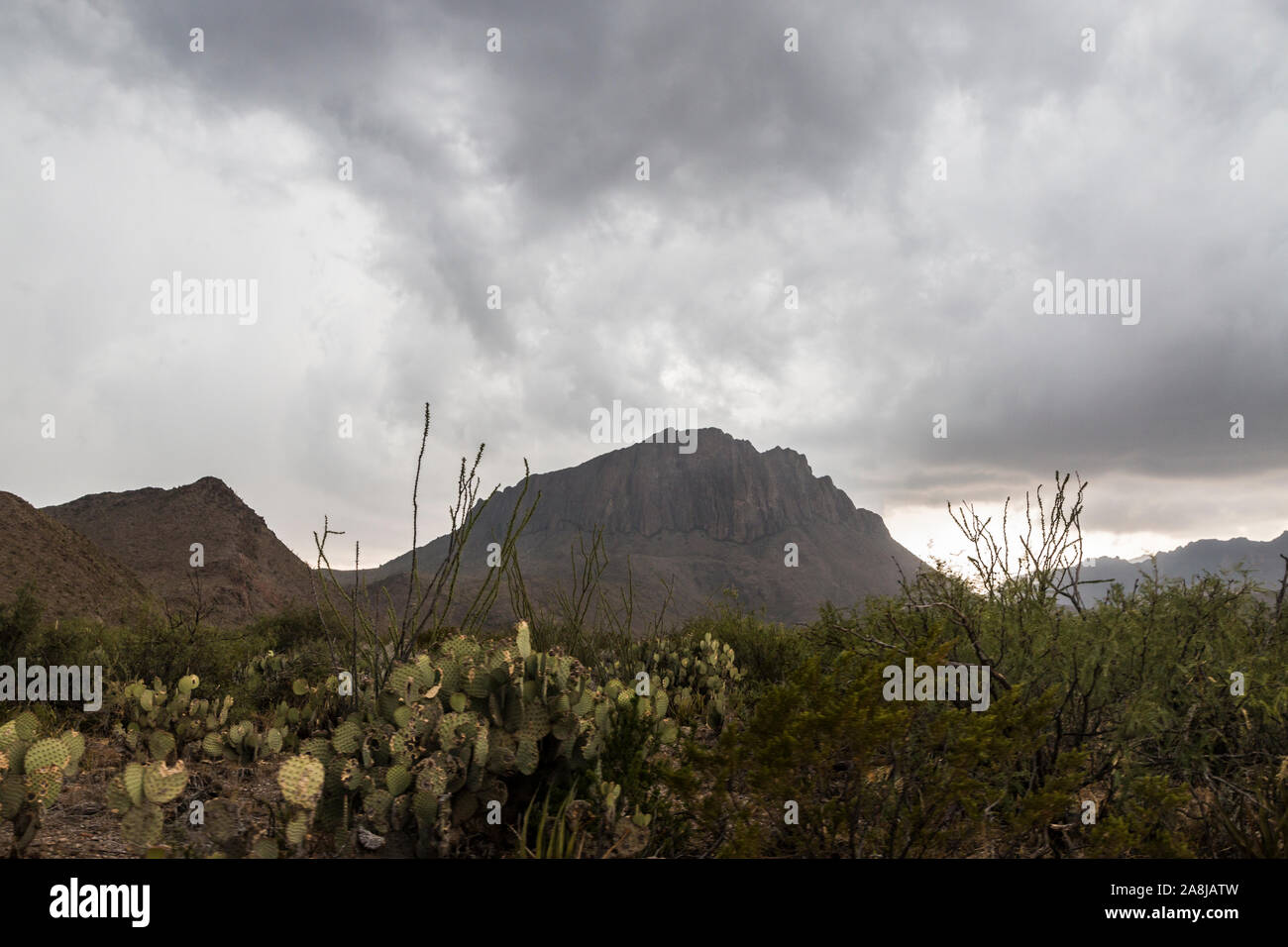 Chisos basin window trail hi-res stock photography and images - Alamy