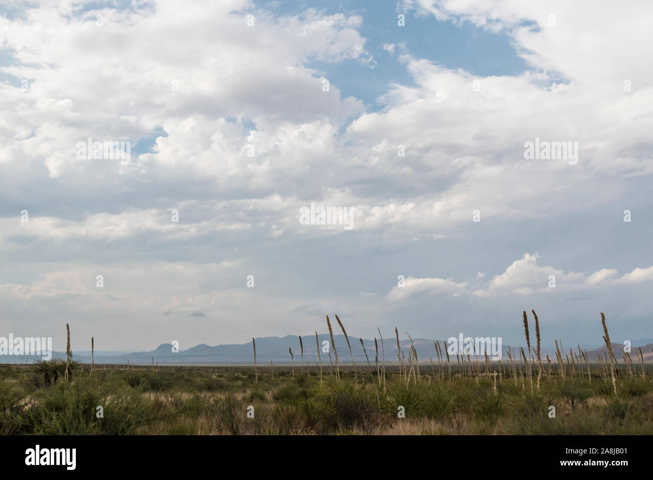 Chisos basin window trail hi-res stock photography and images - Alamy