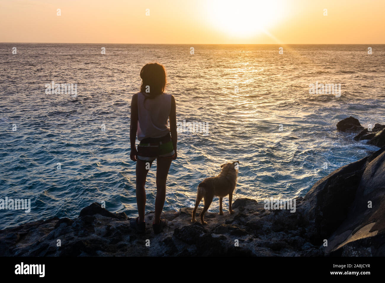 Girl dog sunset hi-res stock photography and images - Alamy