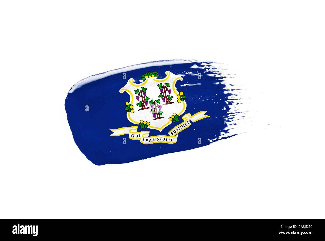 brush painted flag State of Connecticut isolated on white background ...