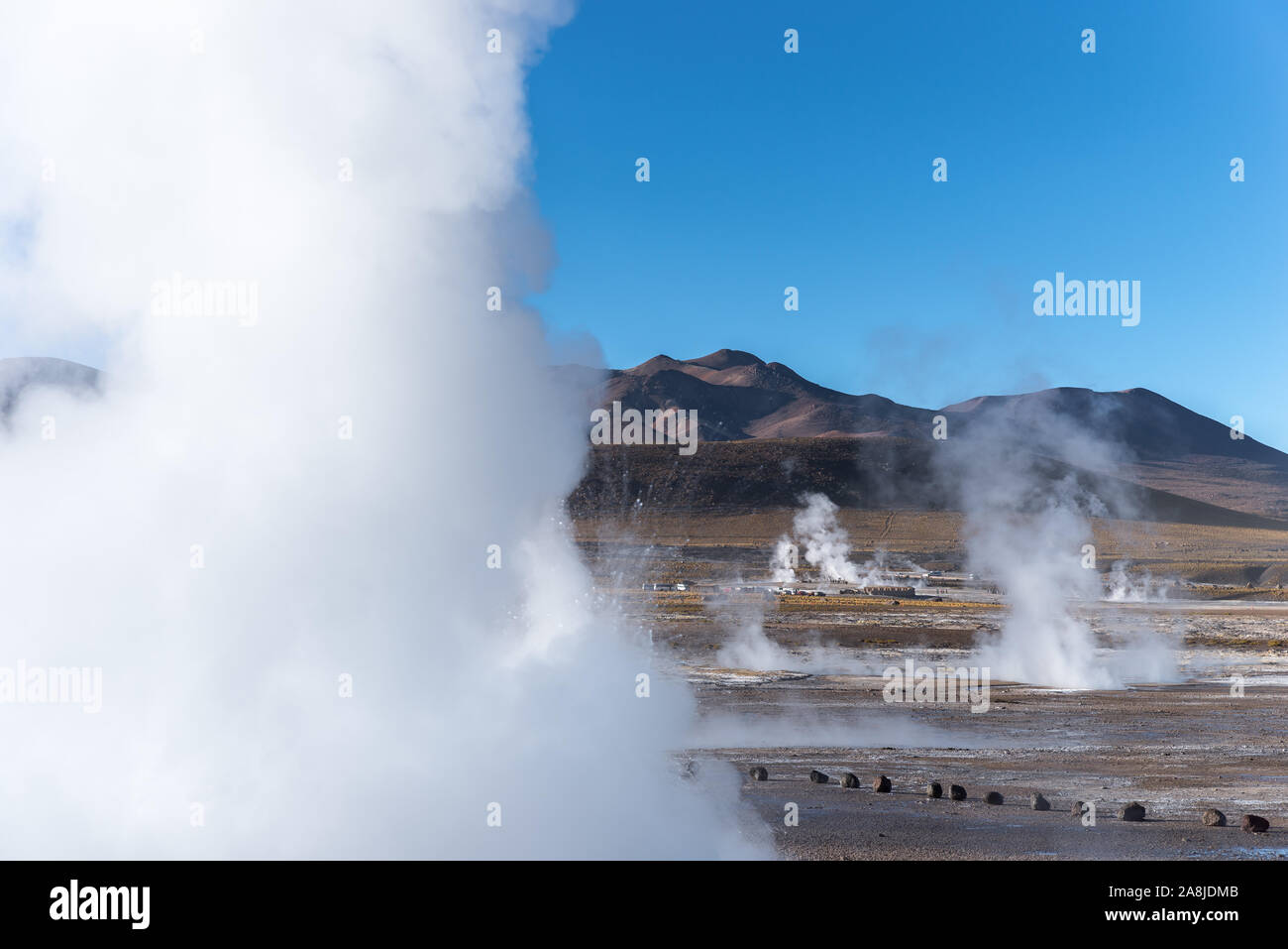 Geyser del Tatio, San Pedro de Atacama, Chile Stock Photo - Alamy