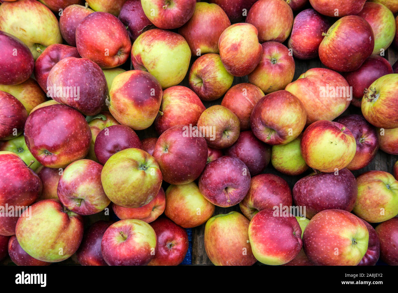 Farm shop display hi-res stock photography and images - Alamy