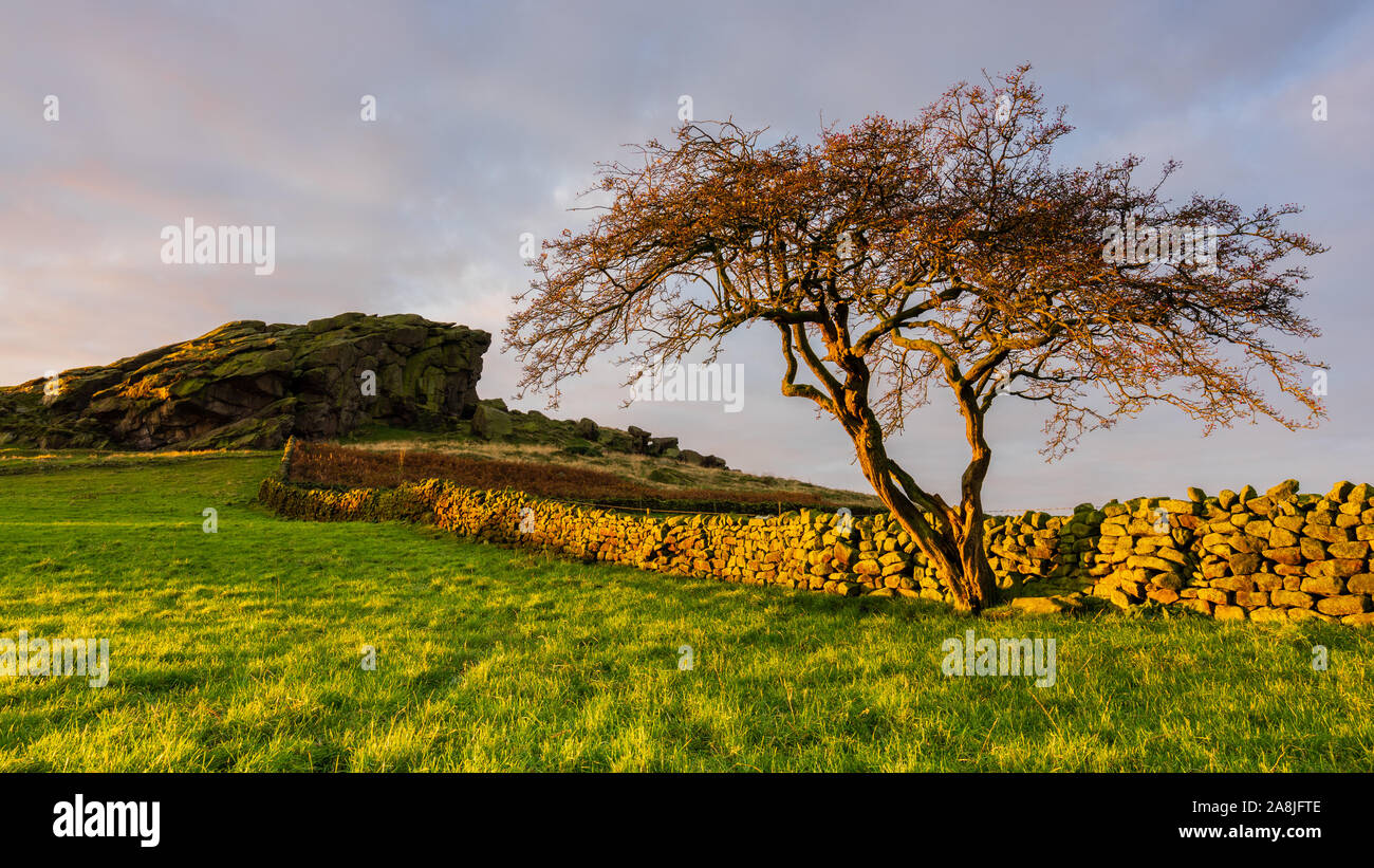 The iconic profile of Almscliffe Crag in Lower Wharfedale catches the ...