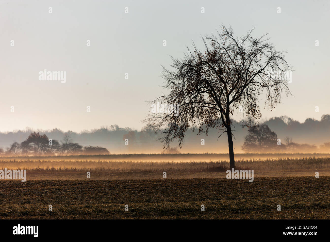 Horizontal photos of a rural landscape showing early morning mist, a ...