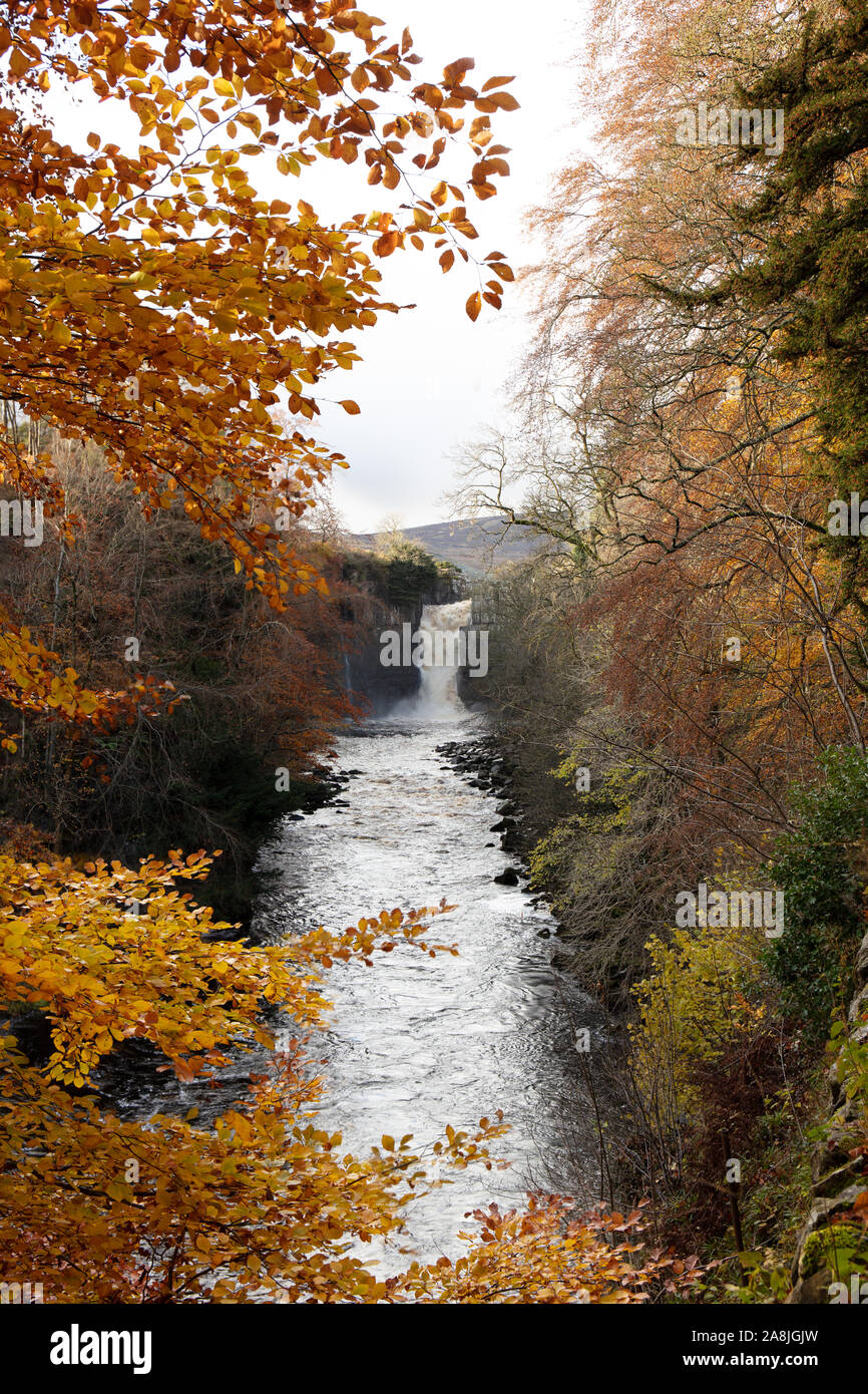 High-force waterfall, in the Autumn, Durham Dales, United Kingdom Stock ...