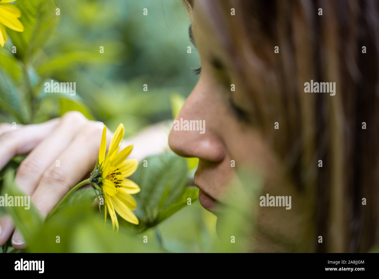 Stock photo of a young girl smelling a yellow flower Stock Photo - Alamy