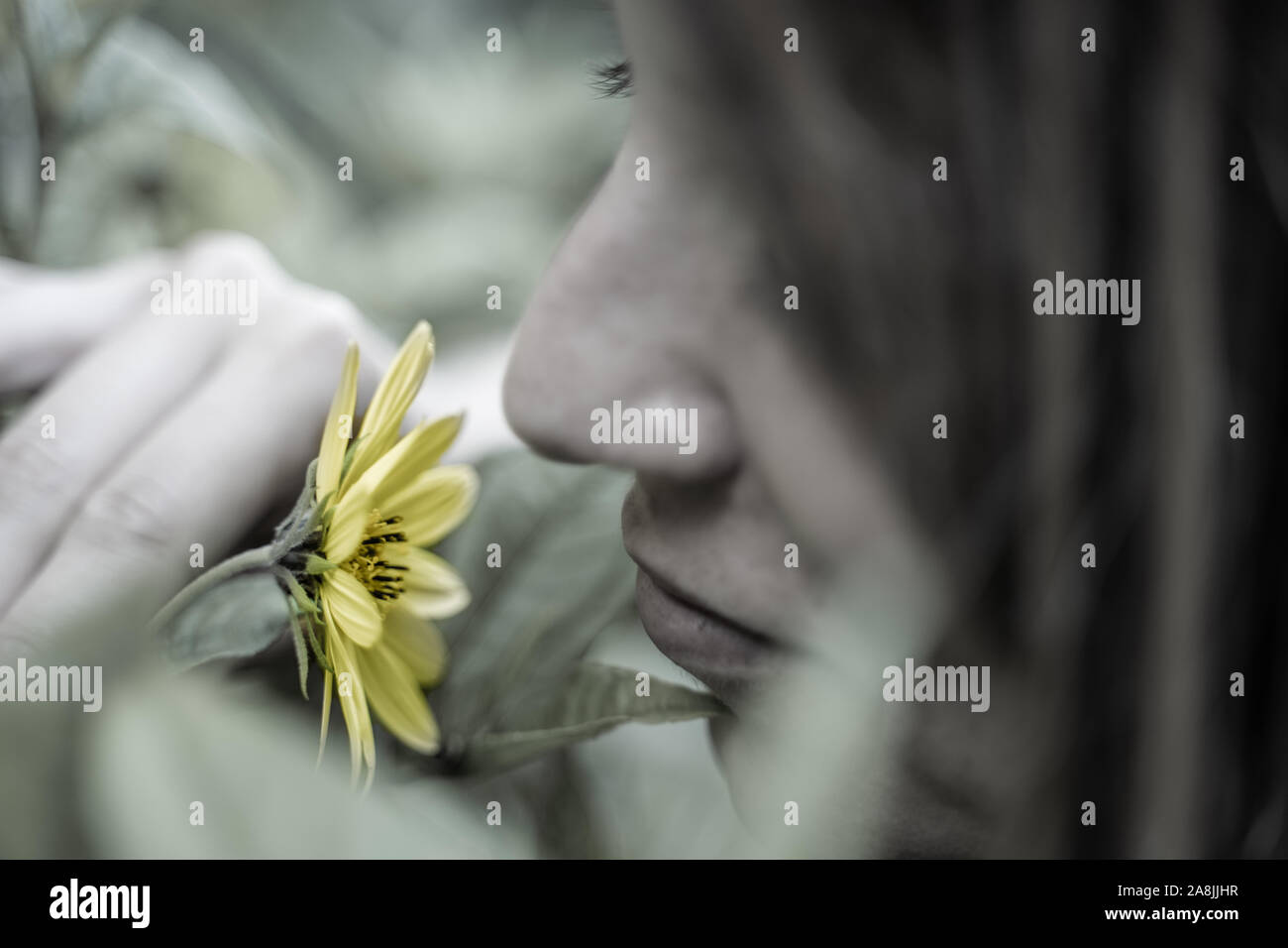 Stock desaturated photo of a young girl smelling a yellow daisy Stock ...