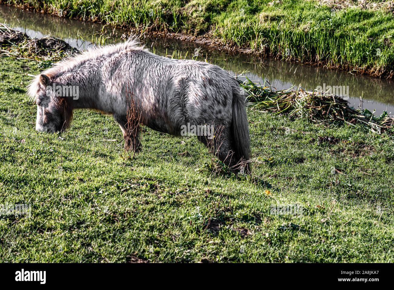 Stream next farm field hi-res stock photography and images - Alamy