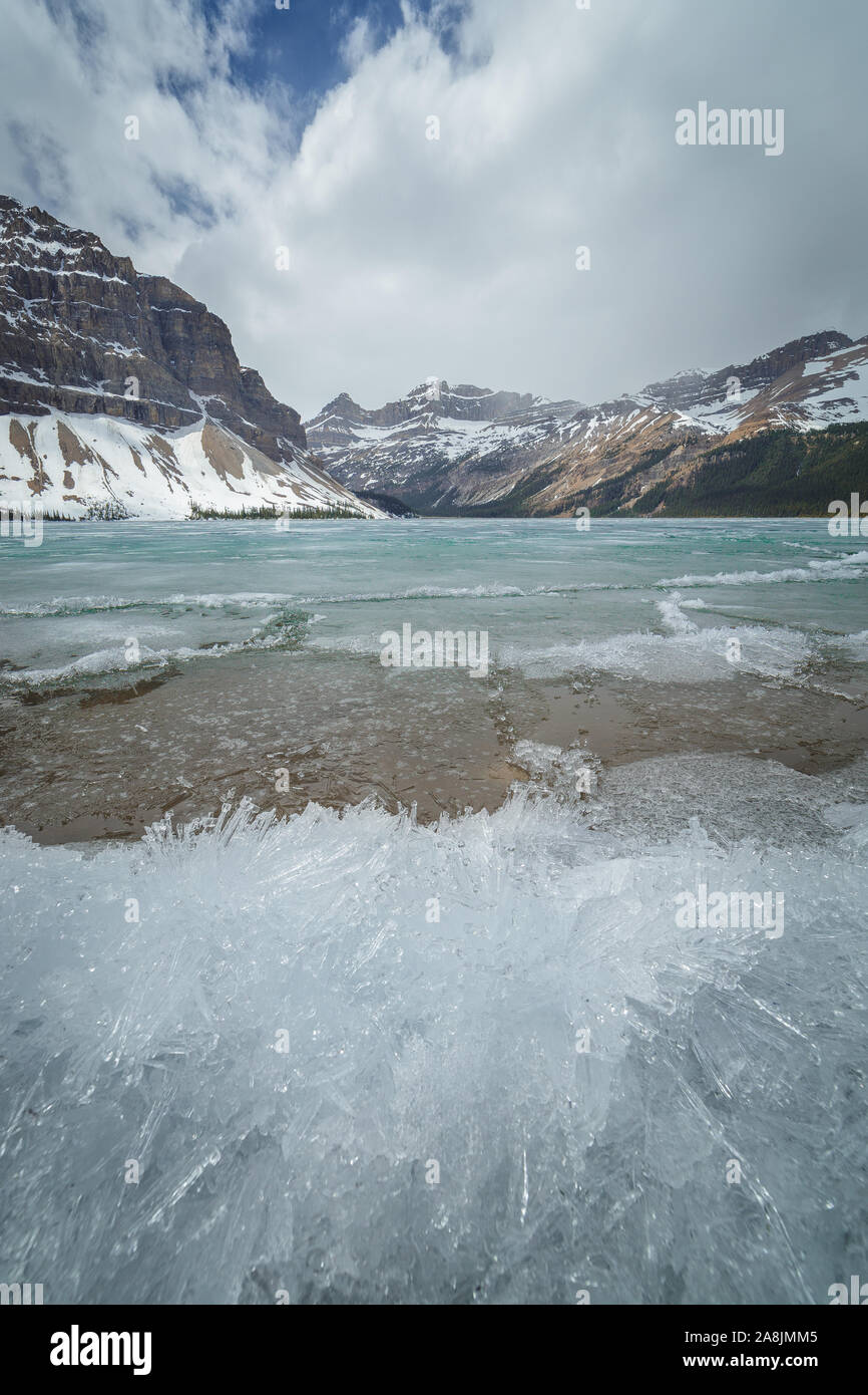 Ice in the border of a frozen lake. Bow Lake, in Canadian Rockies is a ...
