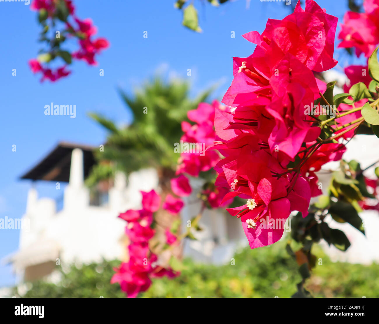 Bitez Turkey High Resolution Stock Photography and Images - Alamy