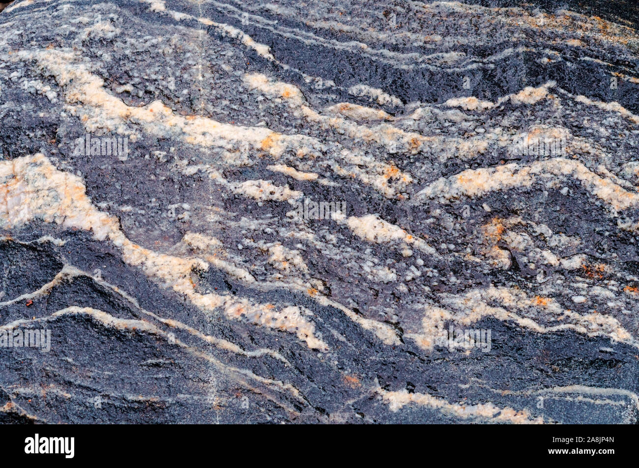 background stone marble granite, texture of sea stone Stock Photo - Alamy