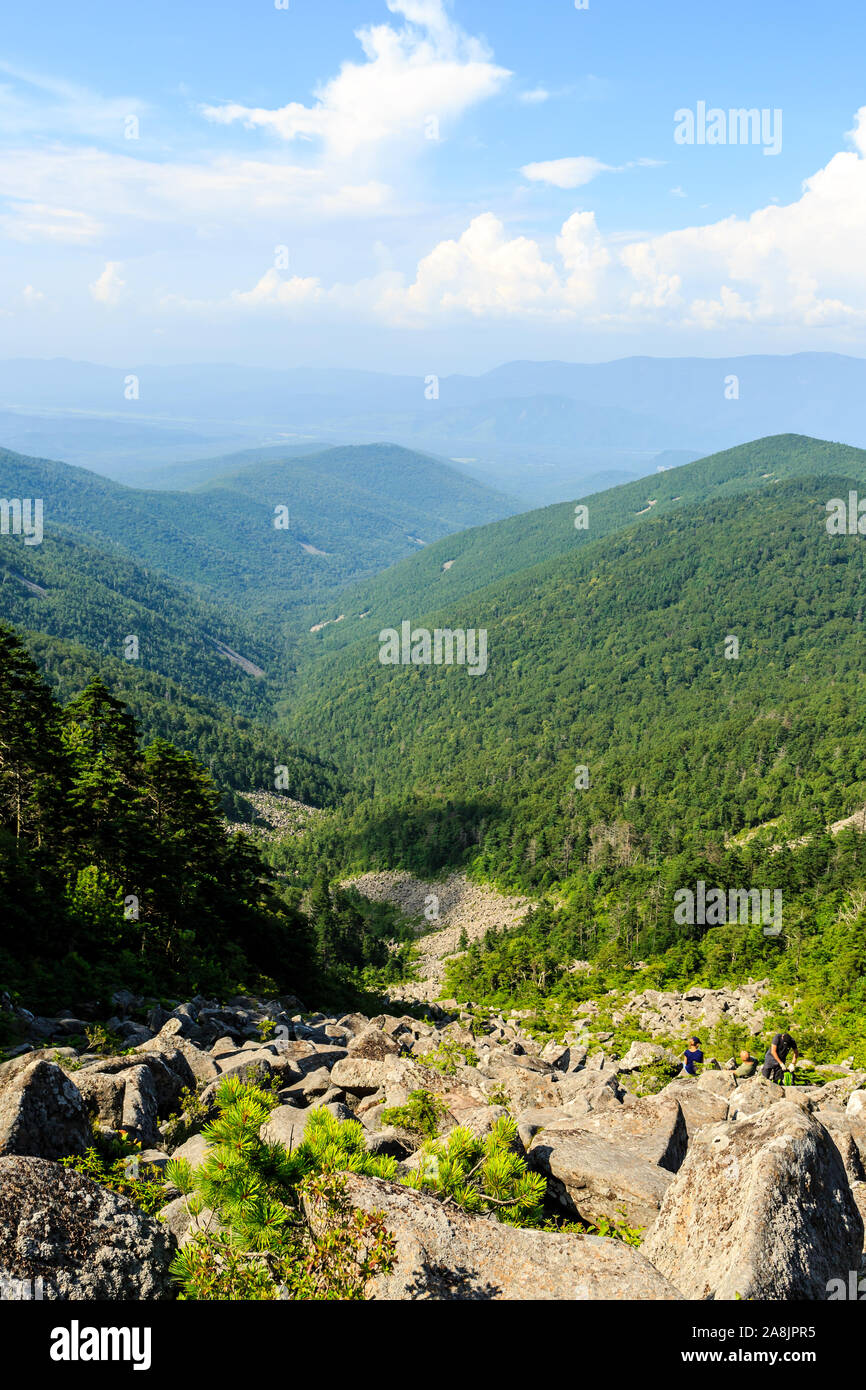 Sikhote alin forest hi-res stock photography and images - Alamy