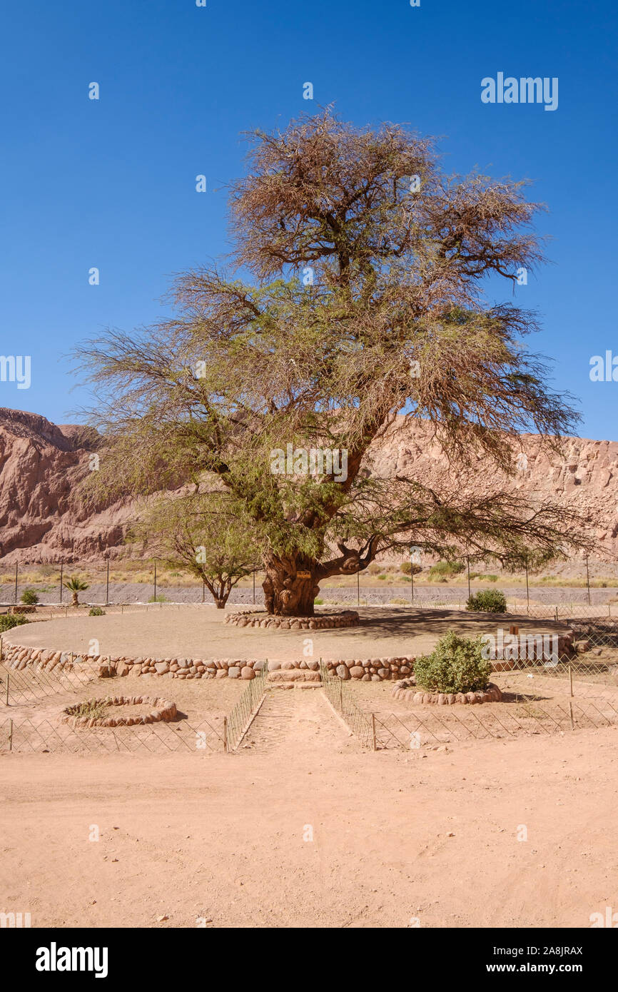 Quitor square hi-res stock photography and images - Alamy